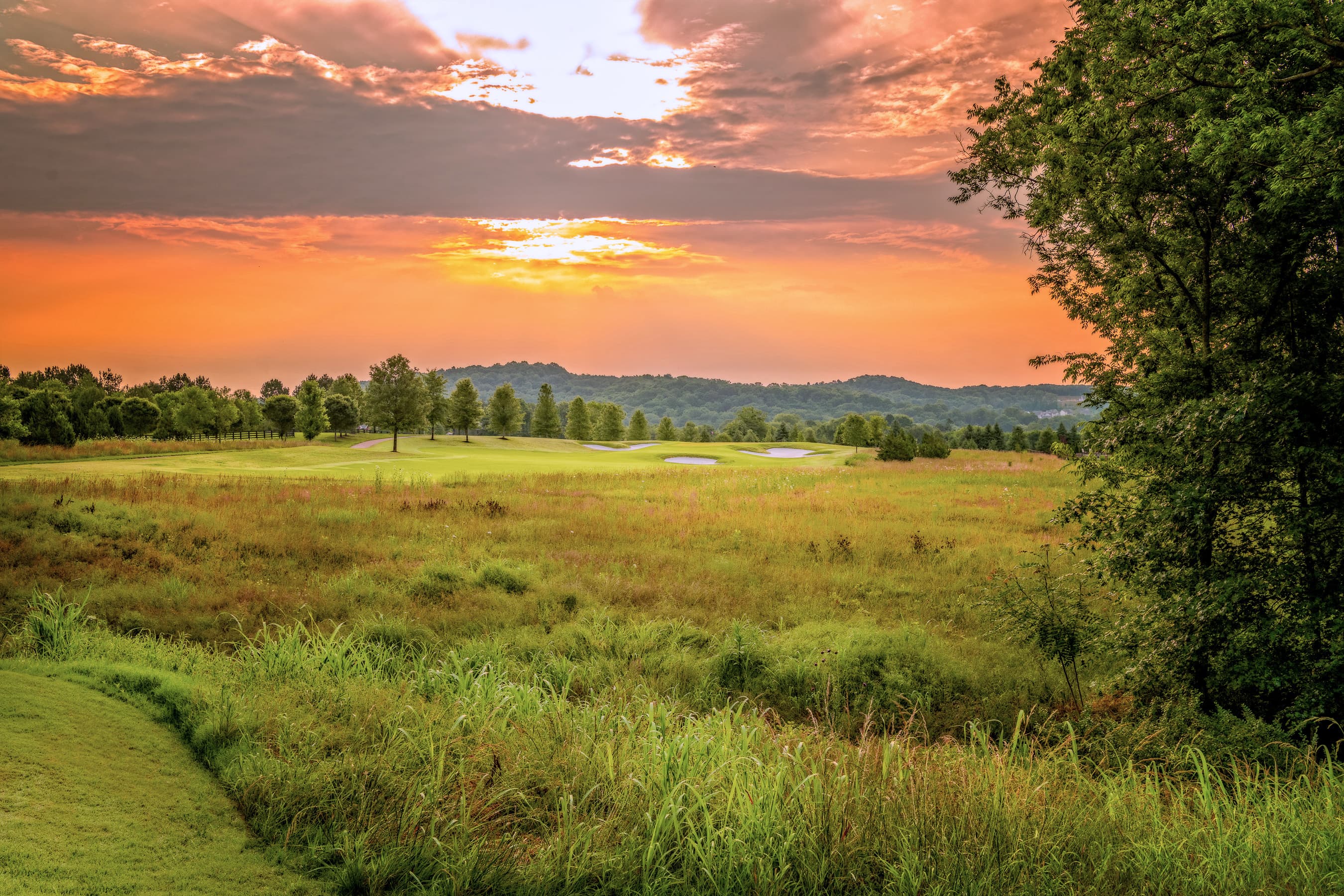 The Grove Golf Course Gallery | Greg Norman Signature Design