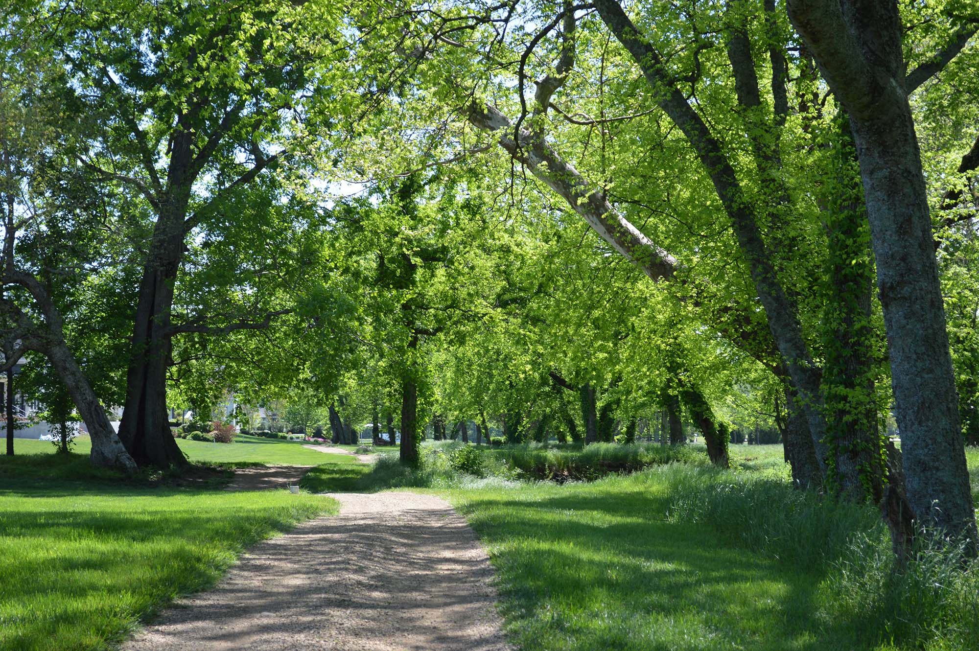 The Grove: Community Parks, Trails & Fishing - Grove Living